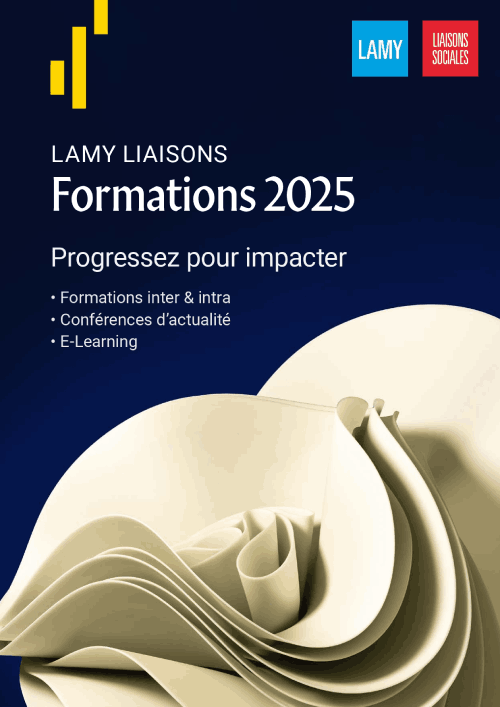 Lamy Liaisons Académie : Organisme de Formation Professionnelle